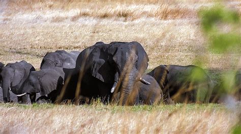 Socio Ecological Systems 5 Minute Video