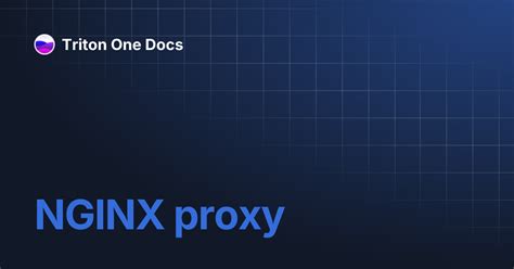 Nginx Proxy Triton One Docs
