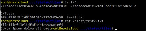 Desktop Client Not Recognizing Subfolder As Encrypted · Issue 1867
