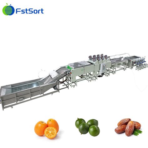 kumquat washing grading machine jujube washing sorting fruit