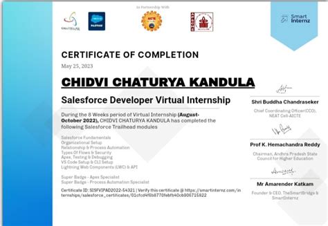 Smartinternz Salesforce Skilledonsalesforce Thesmartbridge Aicte