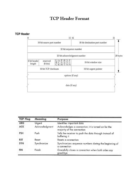an in depth explanation of the tcp header format pdf transmission