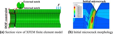 Finite Element Analysis Model Based On Abaqus A Section View Of Xfem Download Scientific