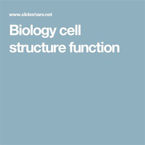 Biology Cell Structure Function Structure And Function Cell Structure Biology