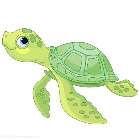 关于turtle库的学习笔记 贾诩来编程 博客园