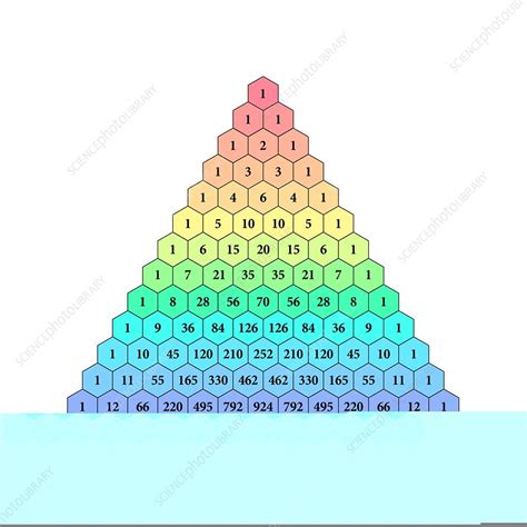 Pascal S Triangle Stock Image C Science Photo Library