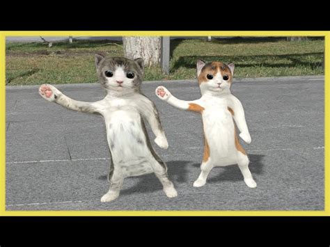 Kitty Cat Dance Original Meme Youtube Cat Dance Animated  Maker