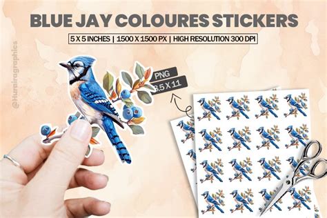 Blue Jay Sticker Printable Bird Sticker