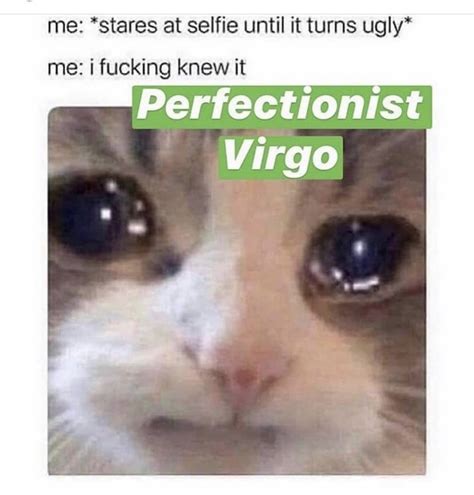 55 Best Virgo Memes That Describe This Zodiac Sign Artofit