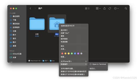 Macos在访达中快速查看文件路径和打开终端访达显示路径 Csdn博客