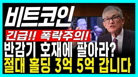 비트코인 전망 긴급 폭락주의 반감기 호재에 팔아라 절대 홀딩 3억 5억 갑니다 Youtube