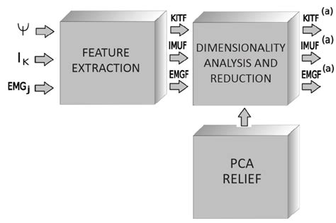 Block Diagram Of The Characteristic Dimensionality Analysis Process Download Scientific Diagram