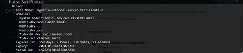 Streamline Certificate Management With Minio Operator
