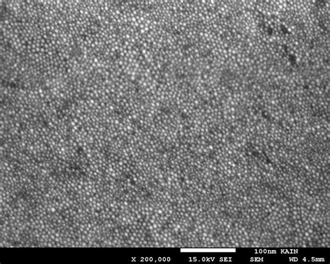 SEM image of Au CSNP films deposited by Langmuir Schäfer technique as Download Scientific