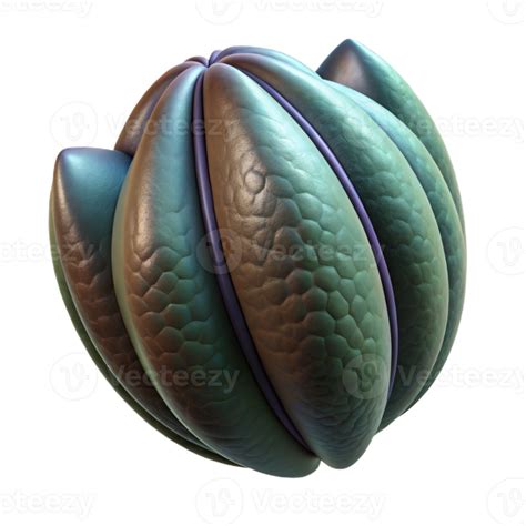 Extraordinary Classic Seed Pod Structure Isolated With Dark Background