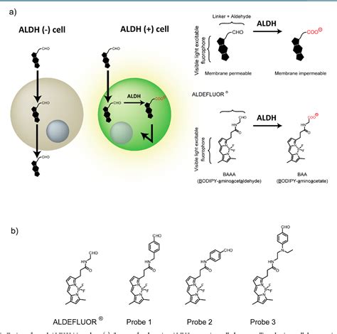 Figure 1 From Development Of Highly Selective Fluorescent Probe
