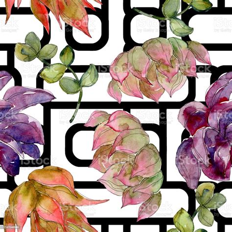 정글 식물 Succulen 꽃 식물 꽃입니다 수채화 배경 그림 집합입니다 완벽 한 배경 패턴입니다 0명에 대한 스톡 벡터 아트 및 기타 이미지 Istock