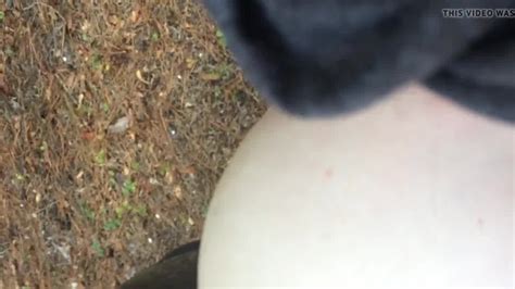 Car Chisel N Forest Poke