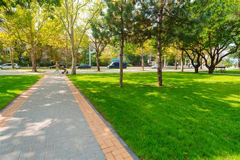 낮에는 도시 공원 아름다운 자연 나무와 잔디밭 늦여름과 초가을 시즌 슬래브 포장의 길 도시 건축 거리 및 무작위 사람들 공원에 대한 스톡 사진 및 기타 이미지 Istock