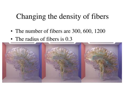 Ppt Visualizing Fiber Tracts In The Brain Using Diffusion Tensor Data Powerpoint Presentation