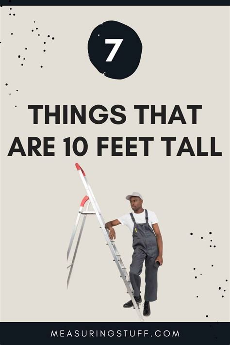 7 Things That Are 10 Feet Long You Wont Believe 4 Measuring Stuff