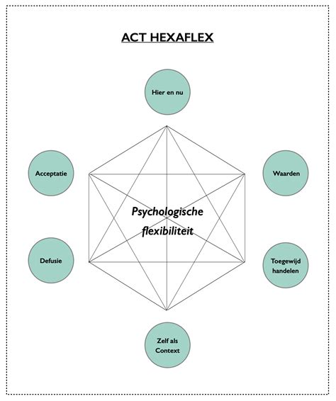 Act Hexaflex Website Actinbeeld