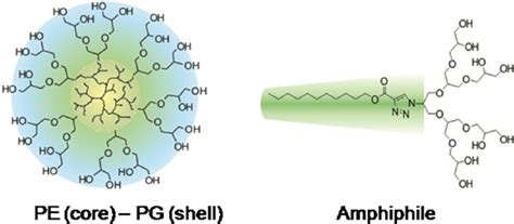 Pe Pg Core Shell Copolymer Left And Structure Of Amphiphile Right Download Scientific