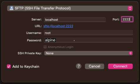 How To Boot A Ssh Ramdisk On 64 Bit Devices Rsetupapp