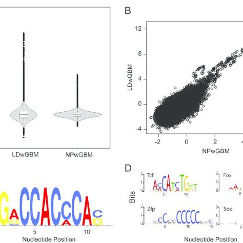 Assessment Of Genomic Kmer Svm Predictions Using Classifiers Trained On Download Scientific