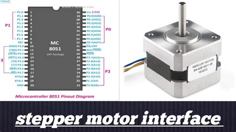 Info Tech Stepper Motor Interfacing In Proteus Youtube Ytshorts Yt Youtube