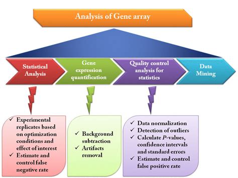 Work Flow Of Gene Array Analysis Diagrammatic Representation Of Dna