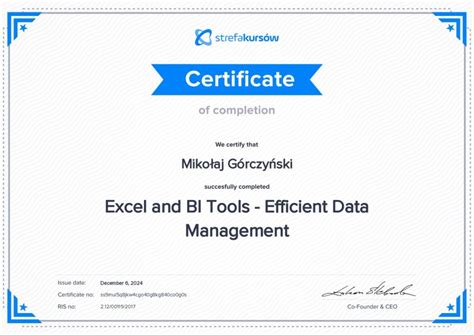Data Dataanalyst Certificate Powerbi Excel Mikołaj Górczyński