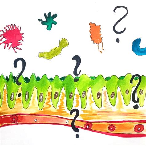 Mikrobióm Zdravýživkask