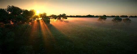 OctaneRender For Unity User Manual OctaneRender For Unity