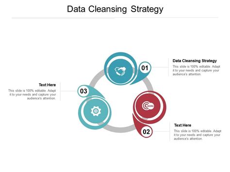 Data Cleansing Strategy Ppt Powerpoint Presentation File Graphic Images Cpb Presentation