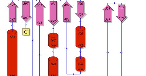 Protein Topology Diagram Generator Topology Schematic Overal