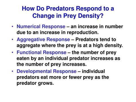 Ppt Predation Chapter 13 Powerpoint Presentation Free Download Id 3253131
