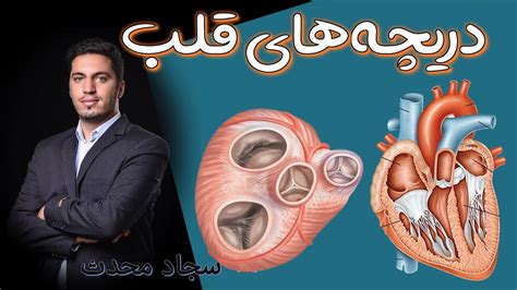 یک بار برای همیشه با دریچه‌های قلب سجاد محدث دبیر زیست Biologymedia Youtube