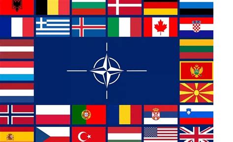 Negara Negara Anggota Nato North Atlantic Treaty Organization Pohon