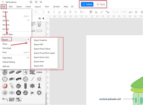 A Guide To Understand Leaf With Diagram EdrawMax Online