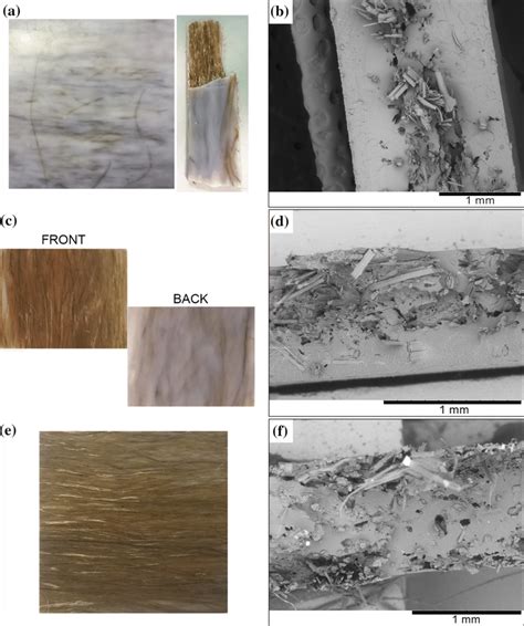 Pictures And Corresponding SEM Micrographs Of Samples Obtained By Download Scientific Diagram