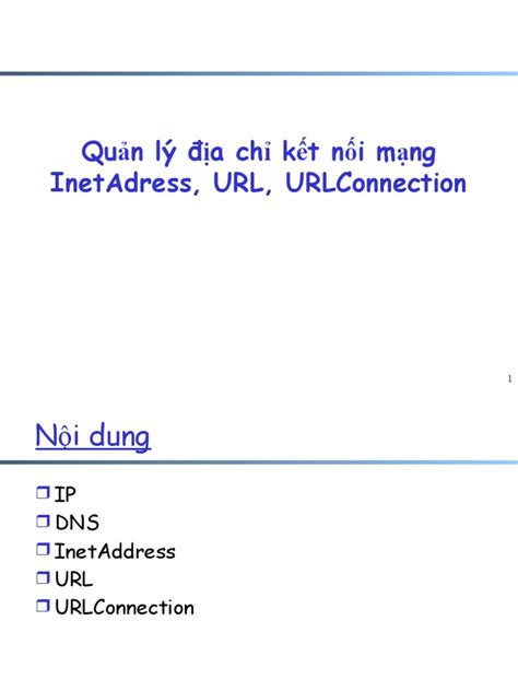 Inetaddress Pdf