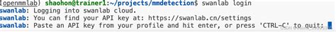 目标检测框架mmdetection如何使用swanlab远程查看训练日志 mmdetection远程训练 csdn博客