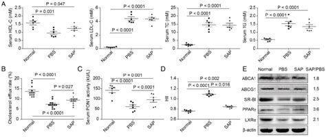 Altered Hdl Function In Apoe Mice A The Serum Lipid Profiles Download Scientific Diagram