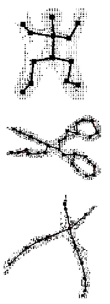 Different Shapes And Its Corresponding Skeletons Obtained With The