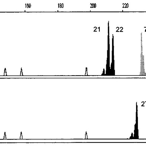 Genscan Profiles Depicting The Results Of Automatic Fragment Sizing For
