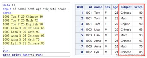 Sas Proc Transpose转置sas转置 Csdn博客