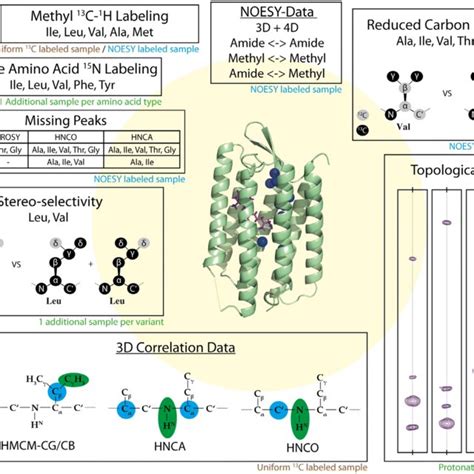 Overview Of The Seven Types Of Input Data That Were Used In The Download Scientific Diagram