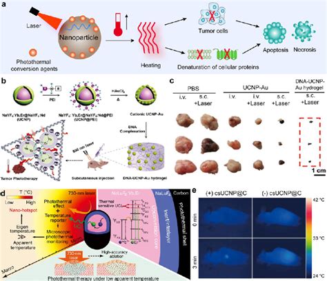 Surfaced Engineering Of Lanthanide Nanoparticles For Tumor Photothermal