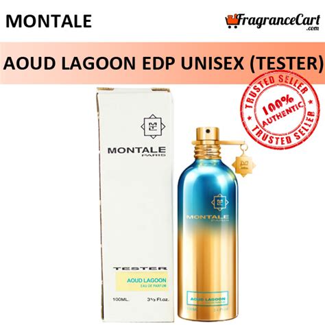 Montale Aoud Lagoon EDP for Unisex (100ml Tester) Eau de Parfum Men ...
